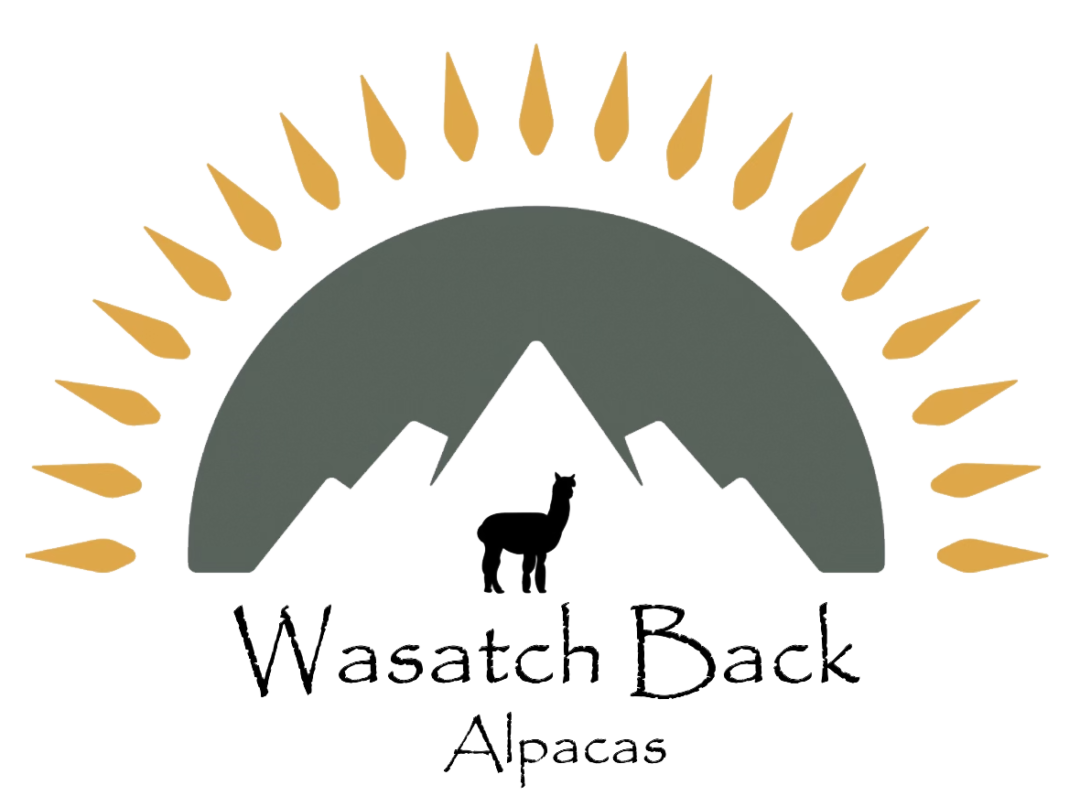 Wasatch Back Alpacas – Utah Alpaca Ranch